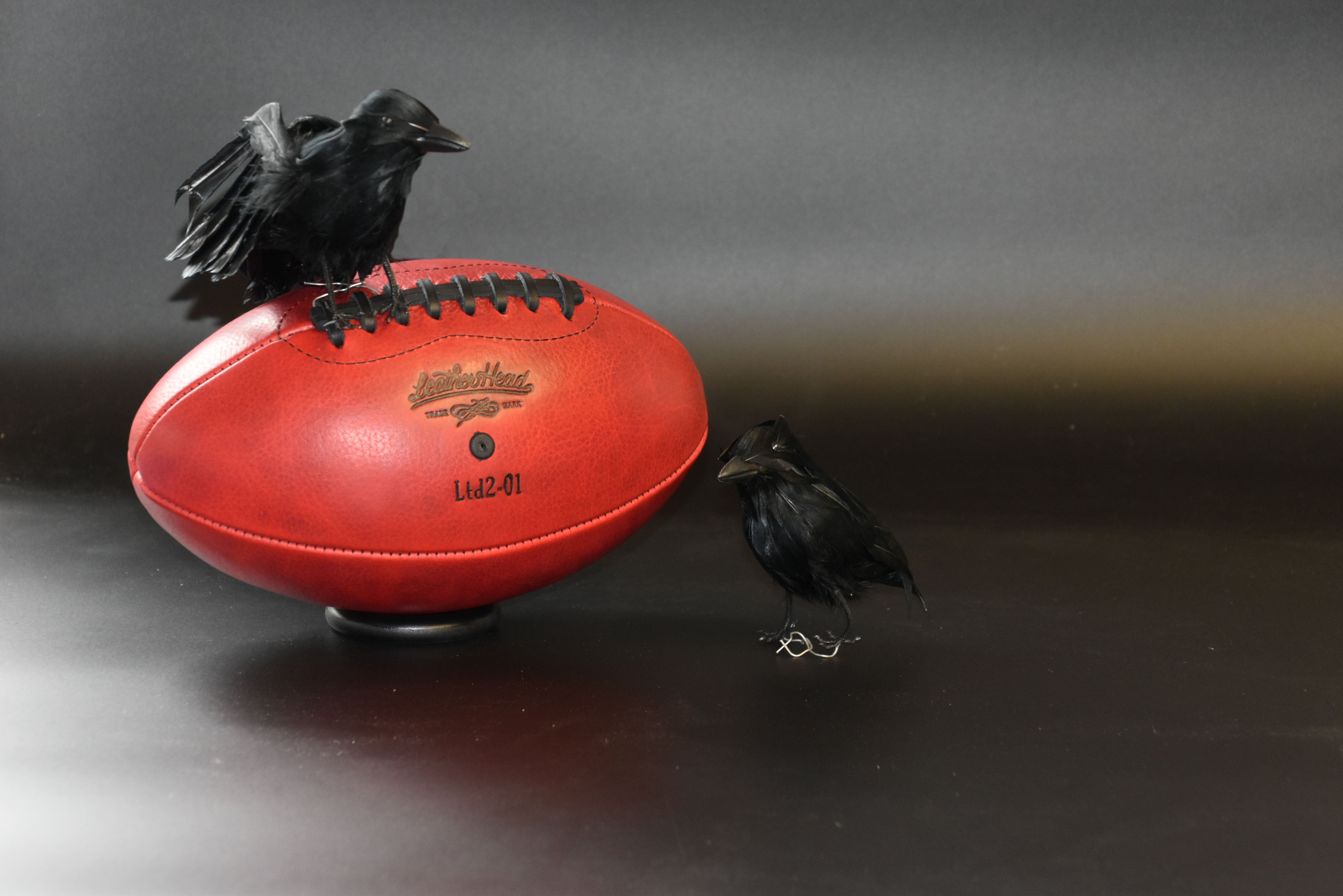 Limited Release: Red Eyed Raven football. *SOLD OUT* – Leather Head Sports
